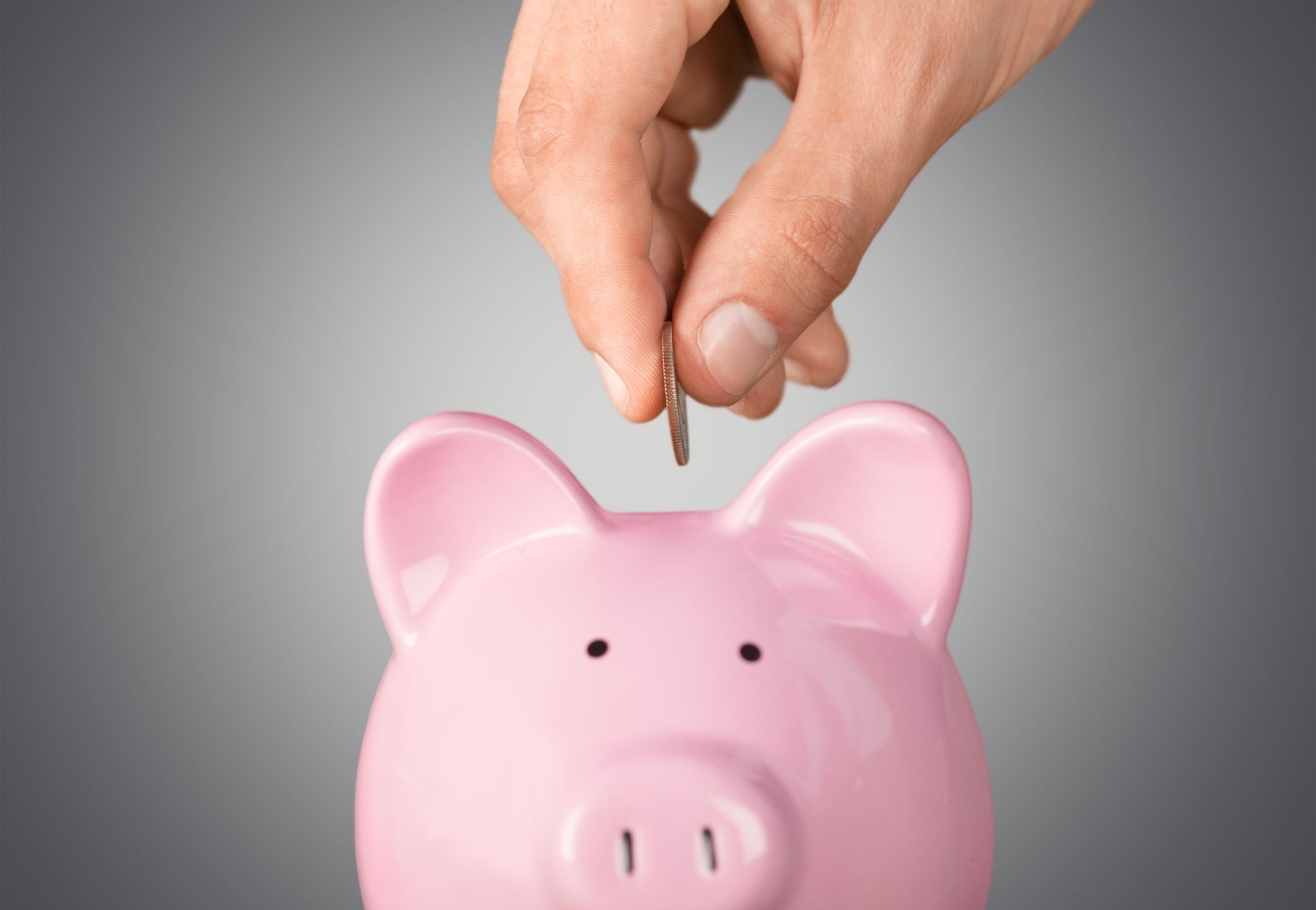 Viner under 100-lappen - Vinbörsen